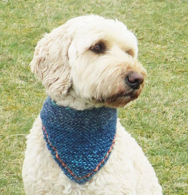 Dog Bandana Knitting kit - Woolly Kits